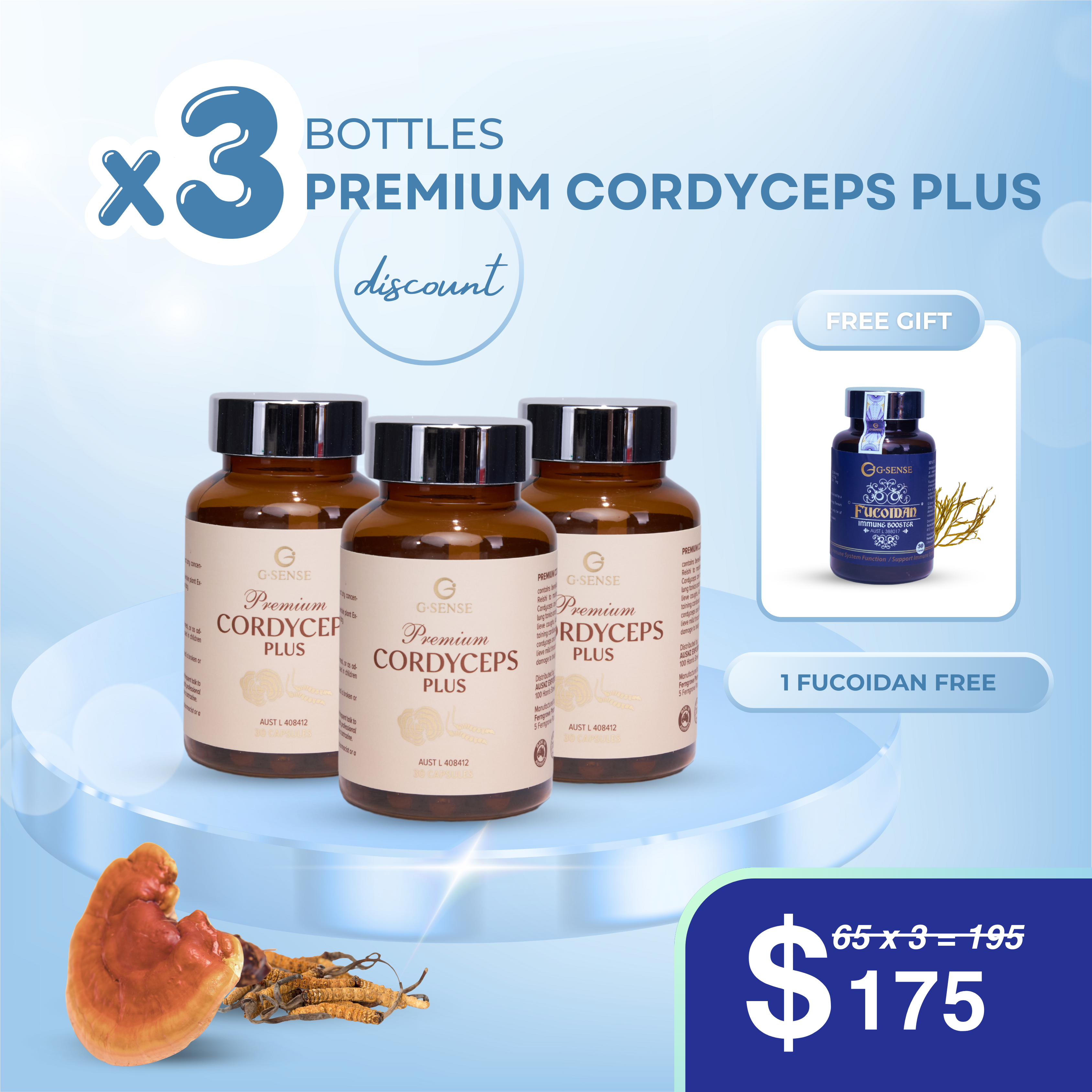 3 Bottles Premium Cordyceps Plus – G.SENSE